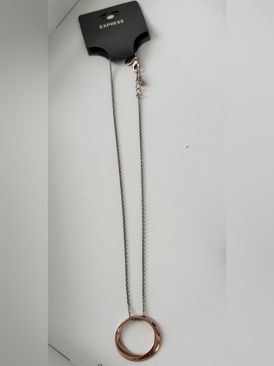 Jewelry | Express Circle Necklace | Poshmark